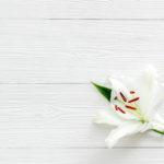 In Appreciation: Jerome E. Singer – Association for Psychological ...