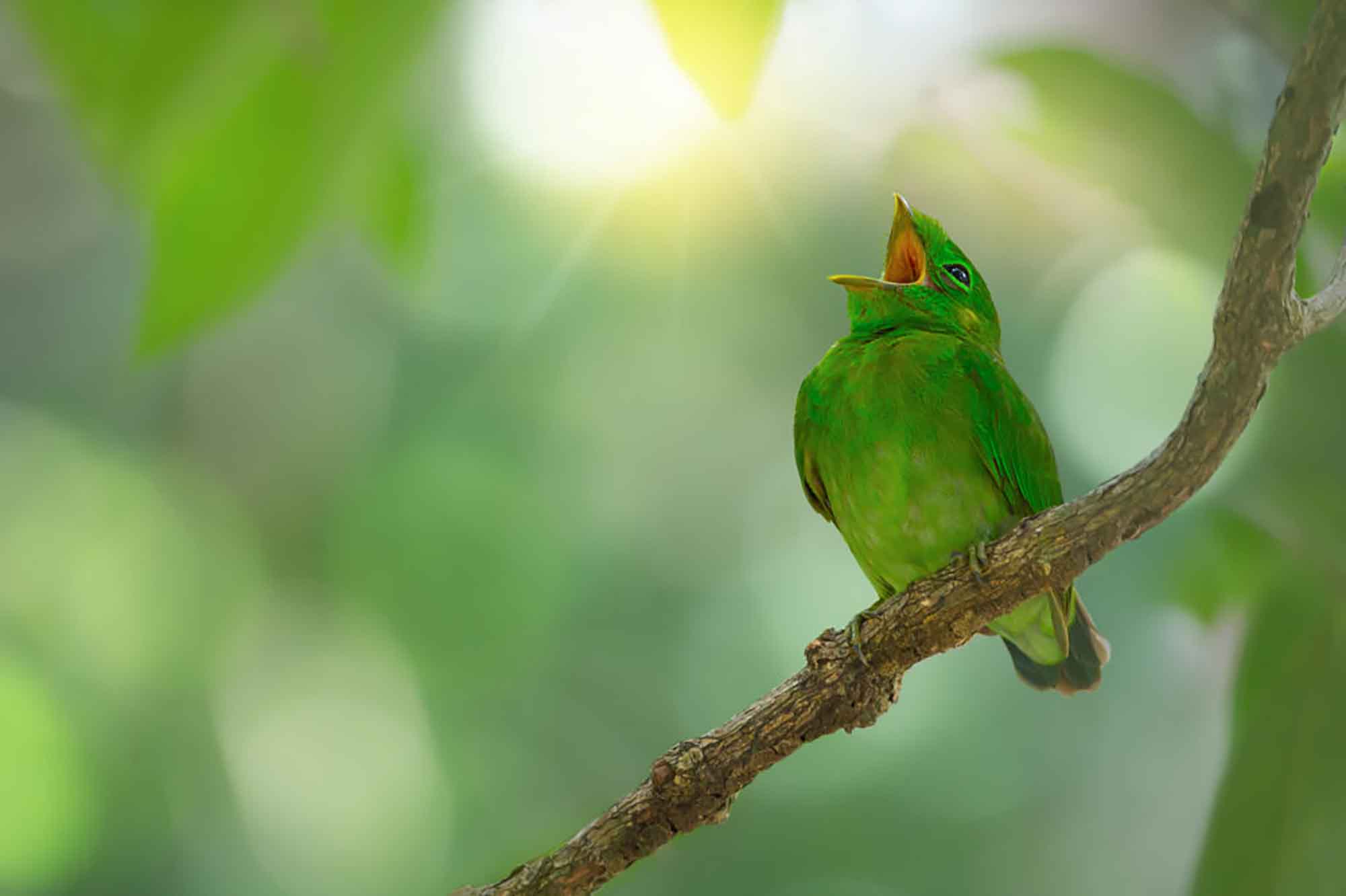 Hearing is Believing: Sounds Can Alter Our Visual Perception ...
