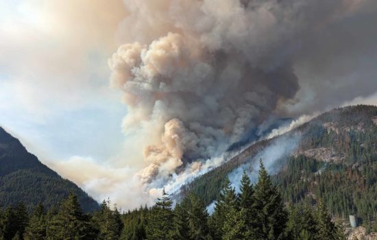 Environment and Climate Change – Association for Psychological Science ...