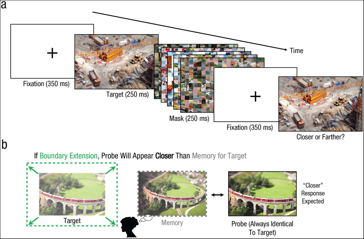 Visual Memory Distortions Paint a Picture of the Past That Never Was ...