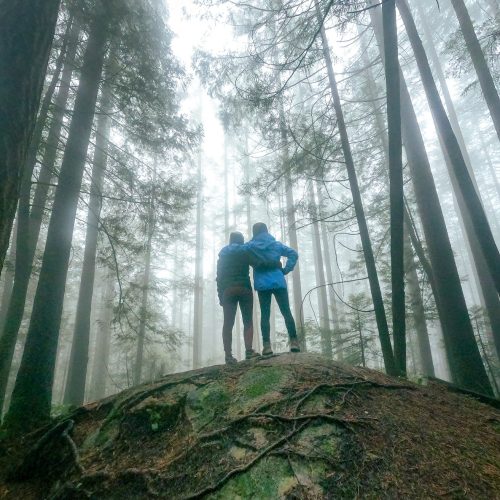 Affect Valuation: Theory, Measurement, and Cultural Variation ...