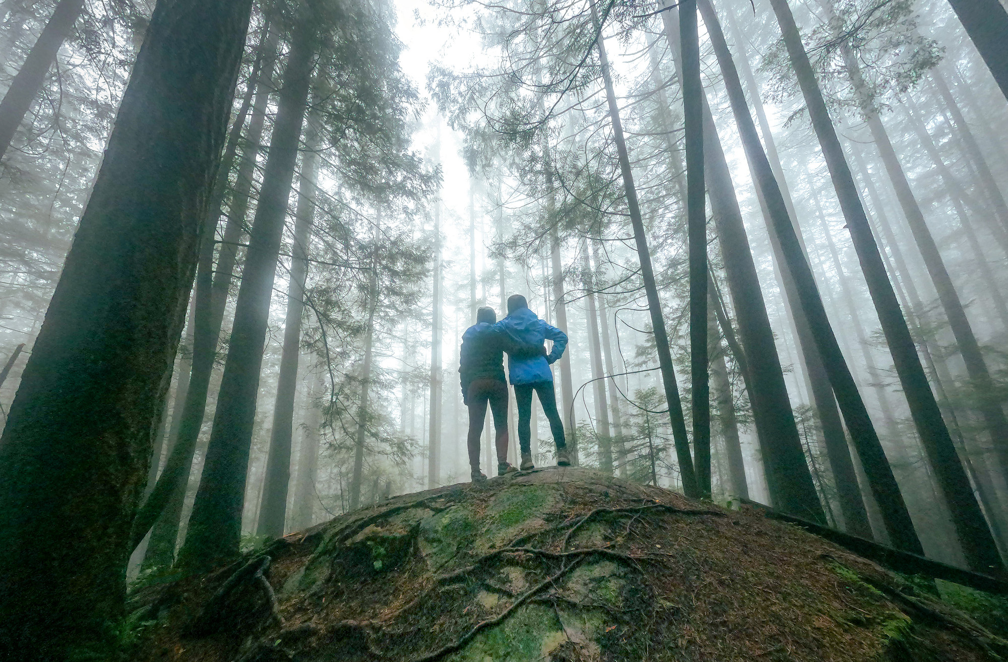 The Nurturing Effects of Nature: Meet Ecospiritualism – Association for ...